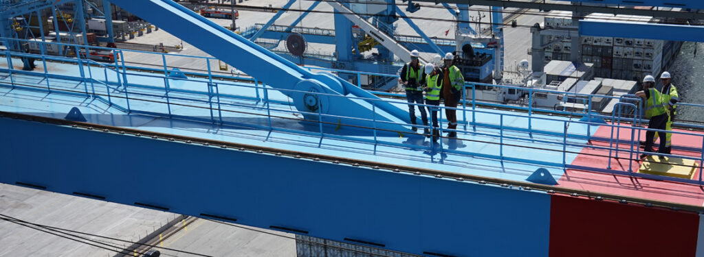 STS Crane Inspection - Skeye