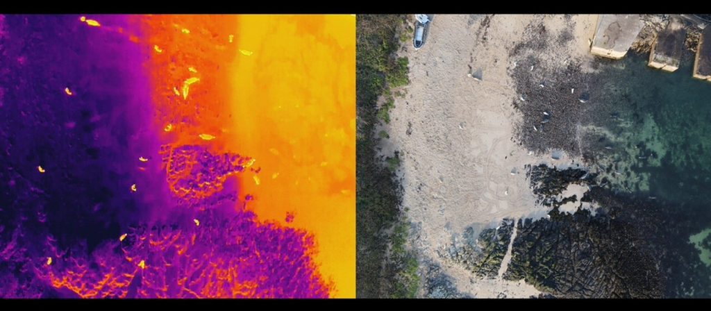 Terra Drone Europe Renamed Skeye - Skeye